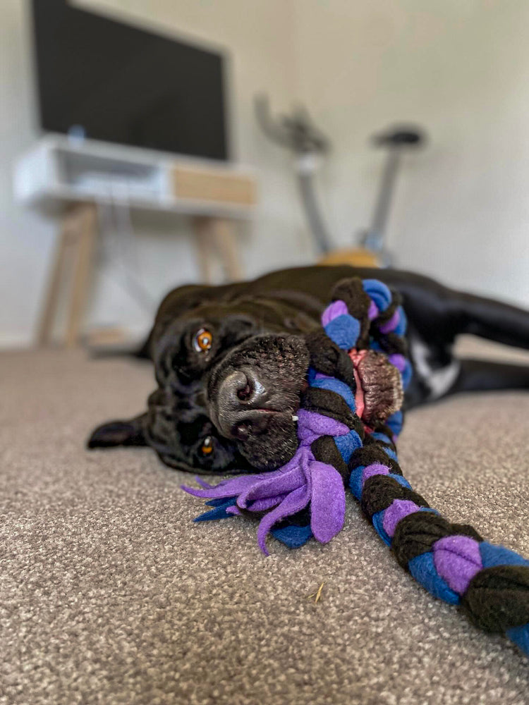 Wag & Wander Wardrobe