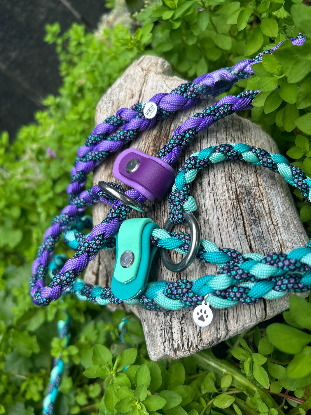 Paracord Leads – Wag & Wander Wardrobe