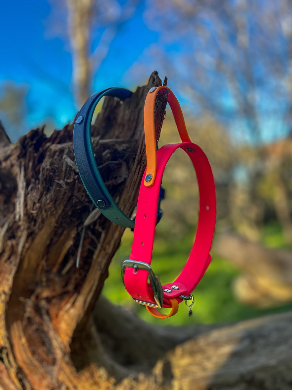 BioThane Collar with Tactical Handle – Wag & Wander Wardrobe