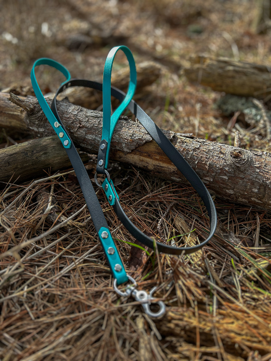 BioThane Leads – Wag & Wander Wardrobe