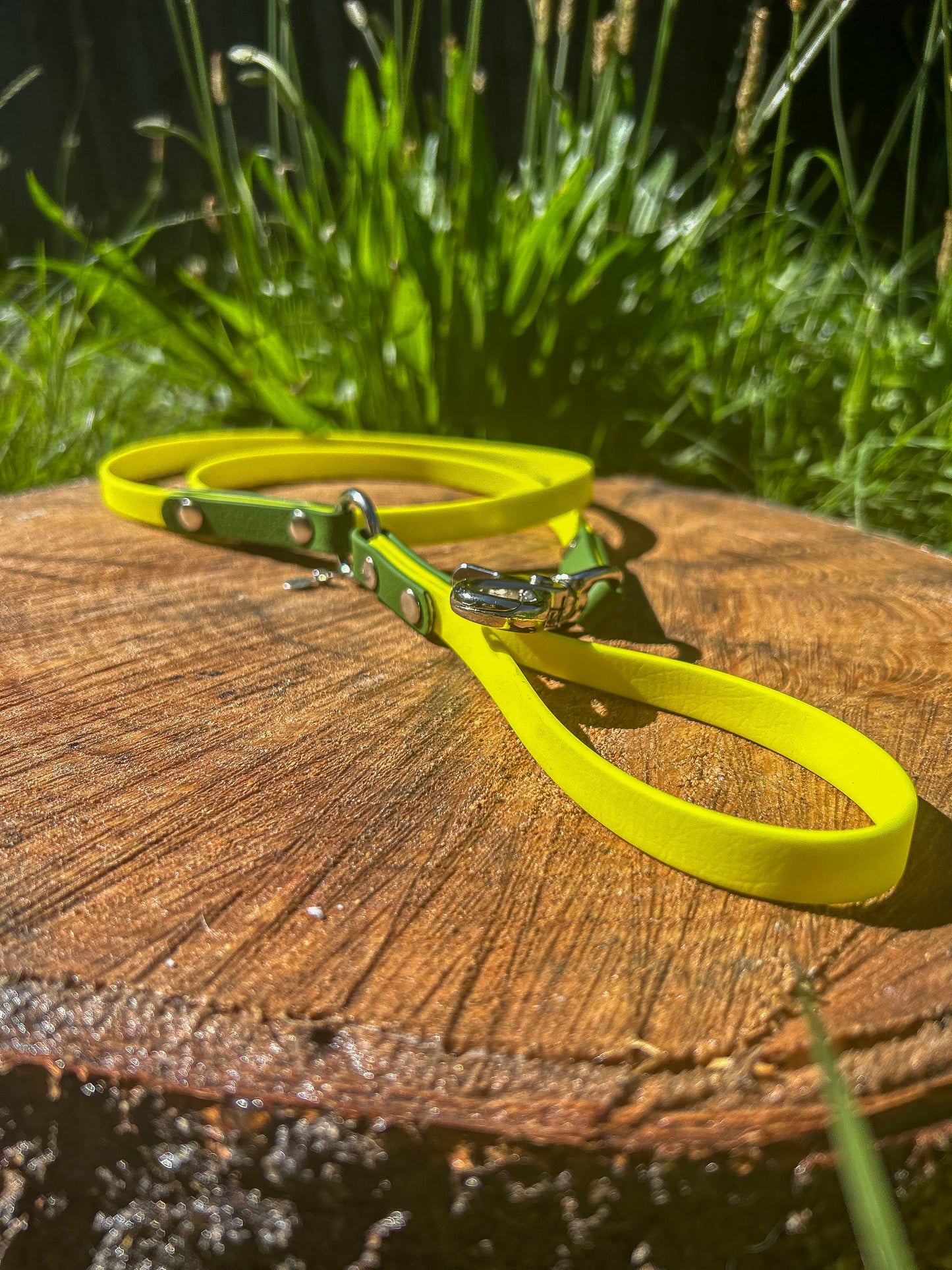 BioThane Lead – Wag & Wander Wardrobe