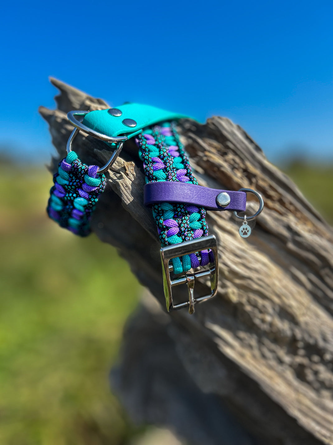 Wag & Wander Wardrobe