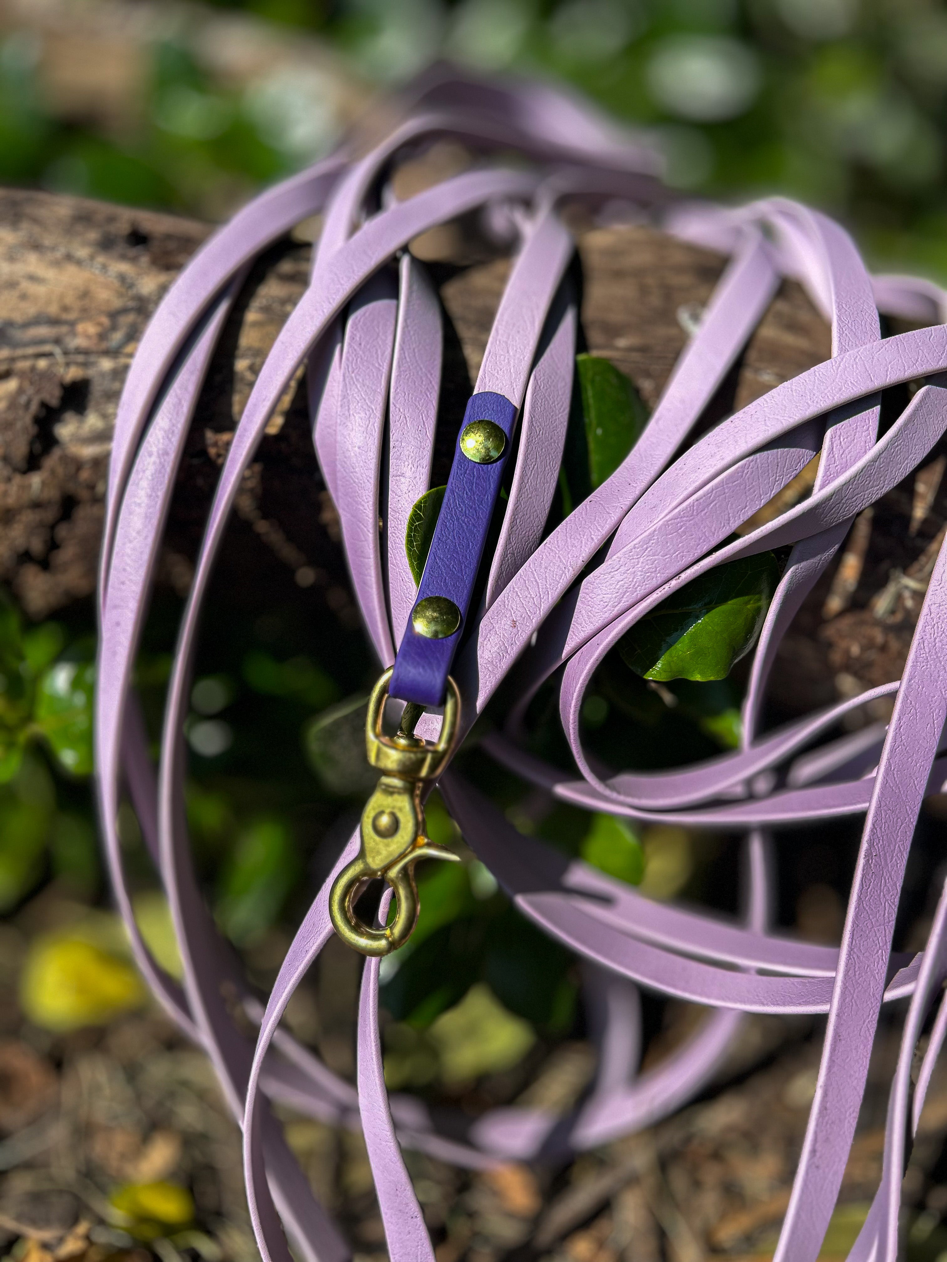 BioThane Long Line – Wag & Wander Wardrobe