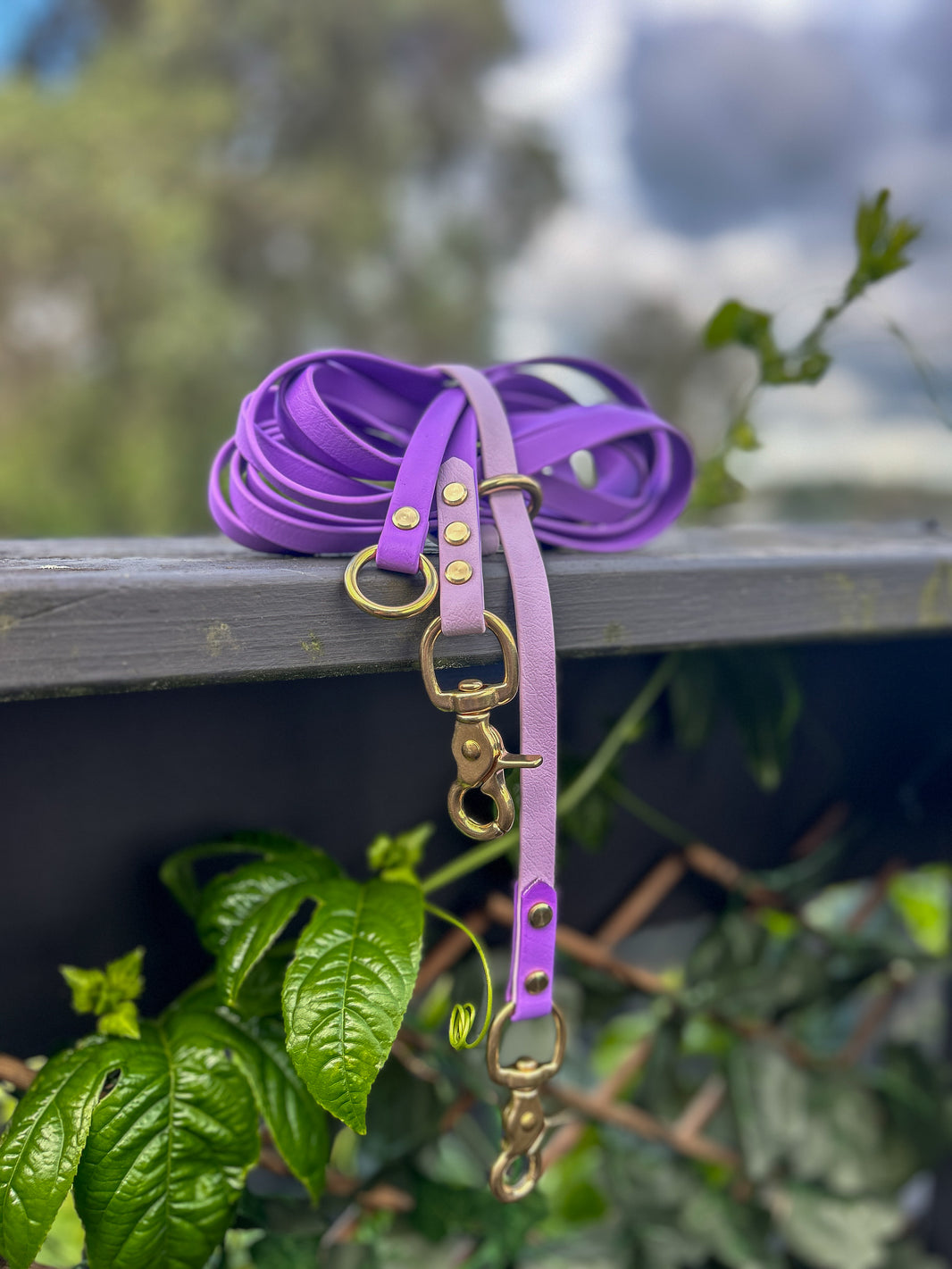 Long Lines – Wag & Wander Wardrobe